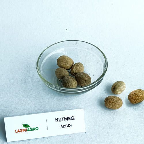 NUTMEG ABCD